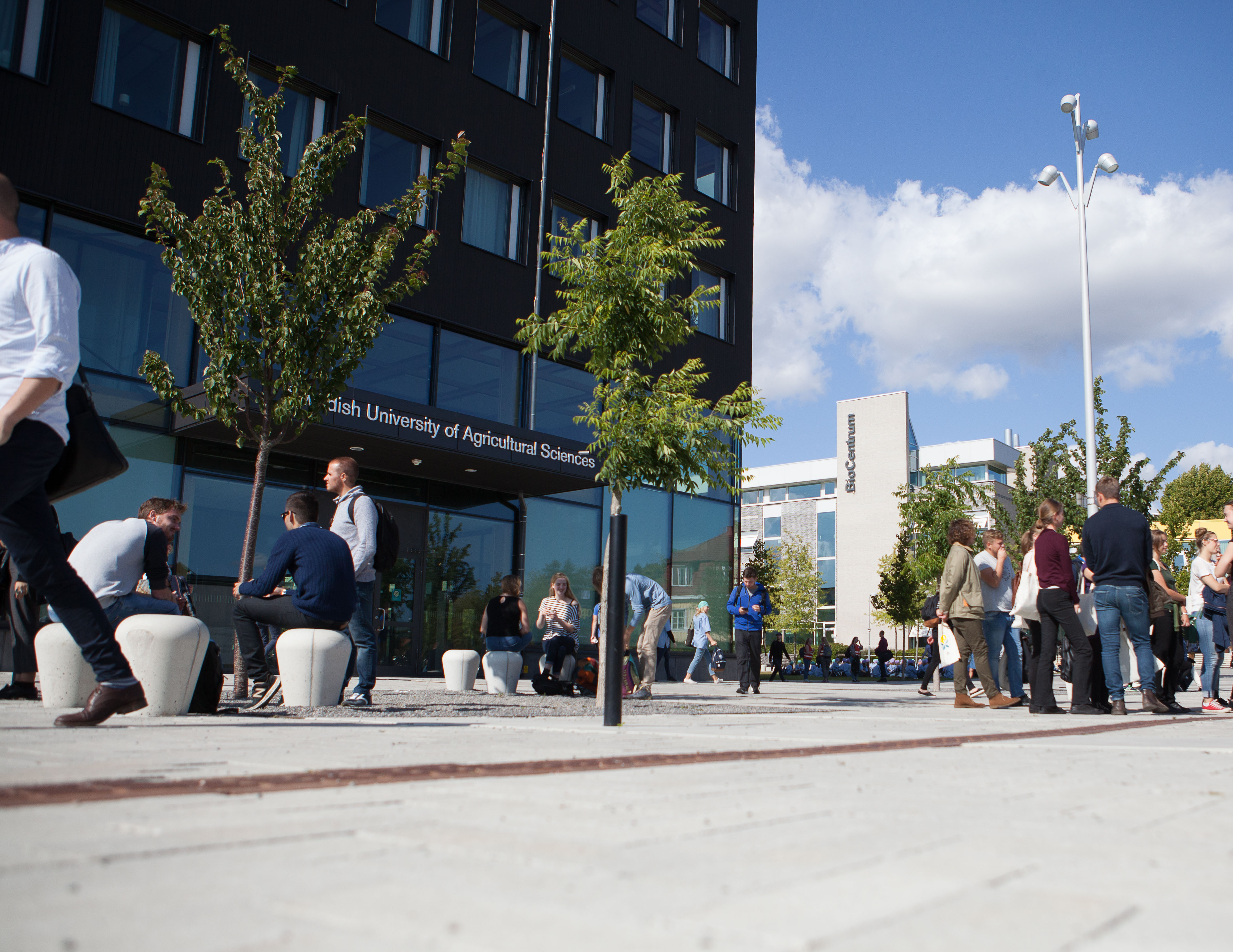 SLU's campuses | Studentwebben