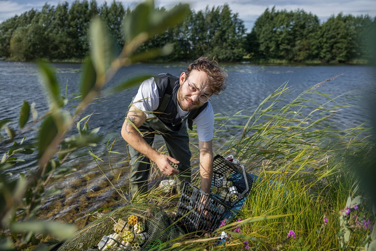 Växer våra svenska sötvattenskräftor olika? Masterstudenten Nick Paulus ...