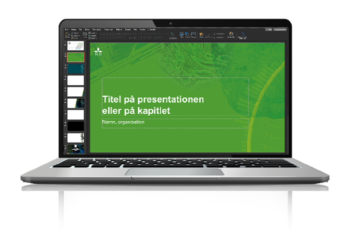 Presentationsmall (ppt) | Studentwebben