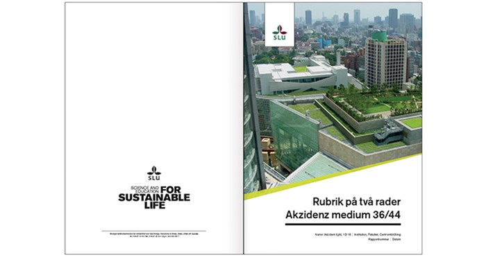 A4 text and image documents (Indesign) | Studentwebben