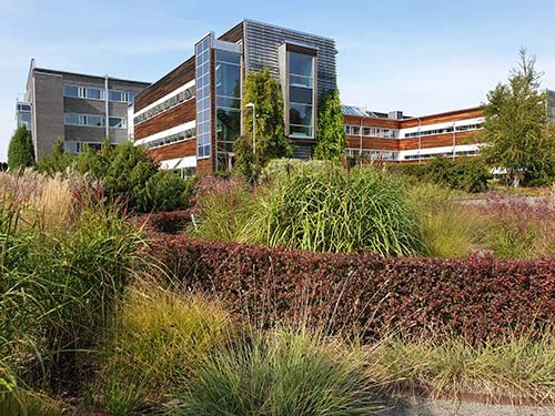 Belysning ur funktion på Ultuna | Studentwebben